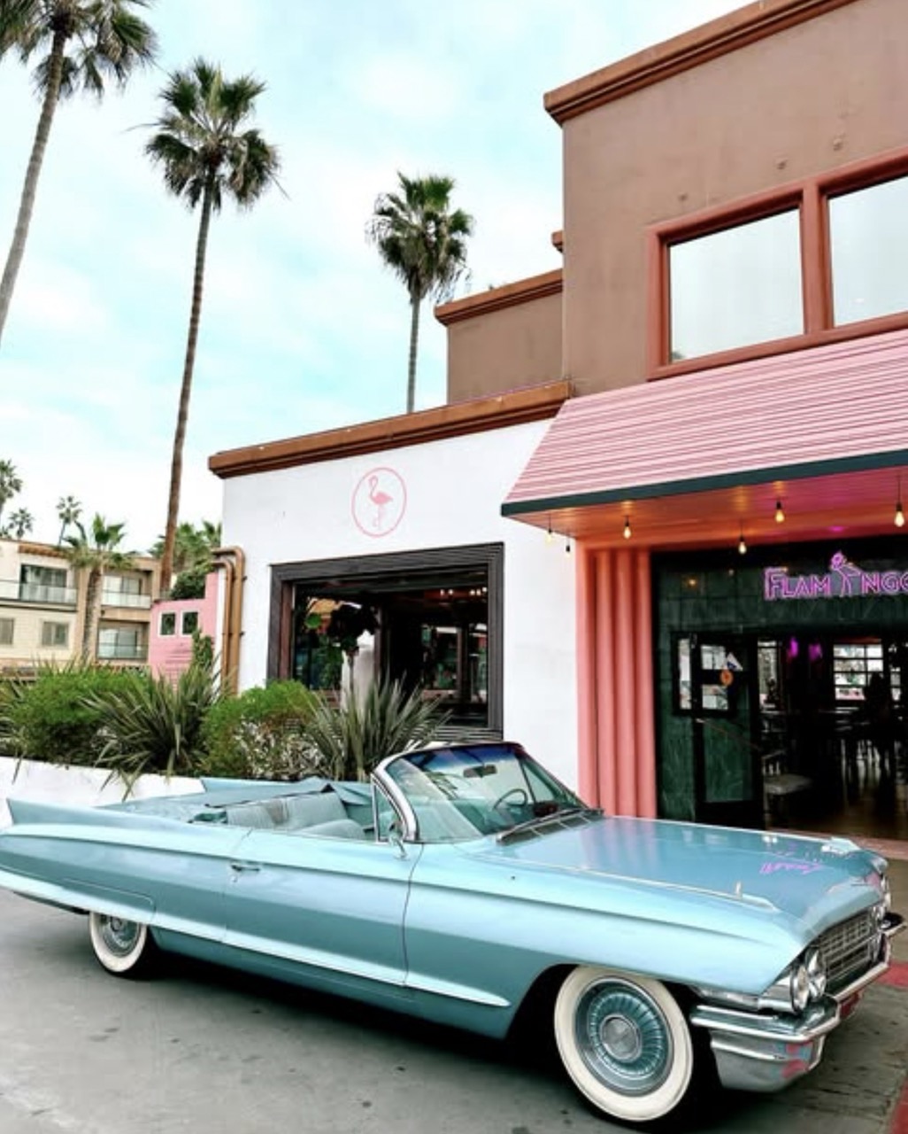 FAQs - Flamingo Deck | Pacific Beach, San Diego